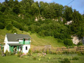 VANZARI case RUCAR - BRAN - #547212